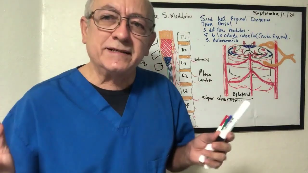 El cono medular y cola de caballo Sindrome de la Arteria Espinal ...