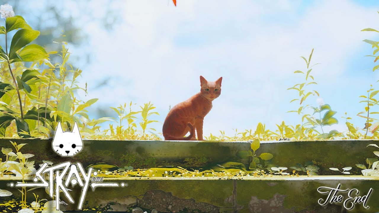 STRAY - PARTE 3 (FINAL DE GAMEPLAY) - YouTube