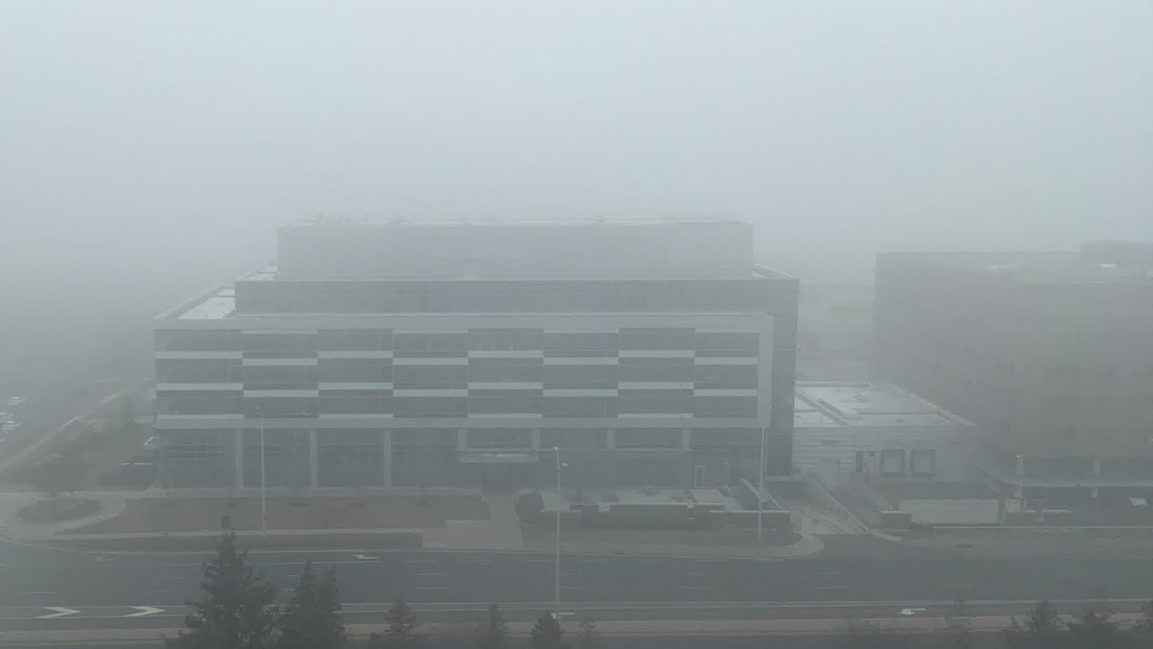 Happy foggy Monday - YouTube