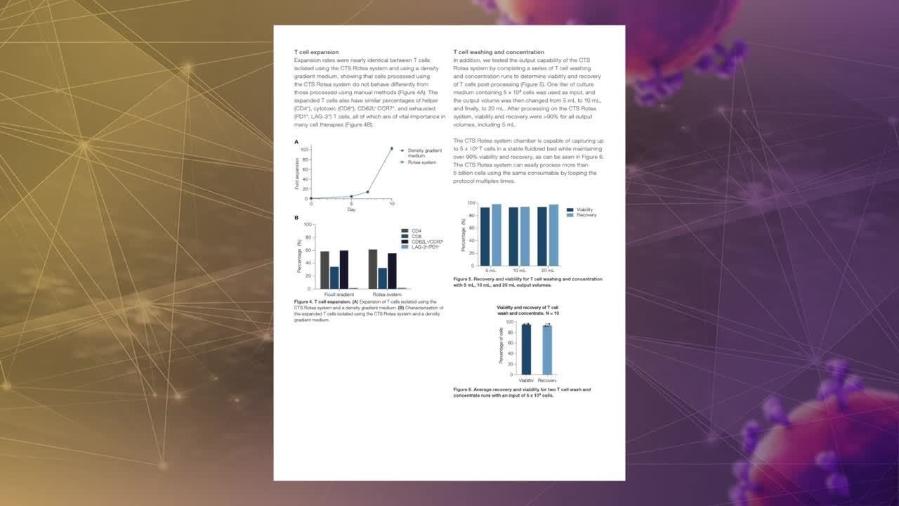 Automated PBMC isolation and T cell wash and concentration by the CTS ...
