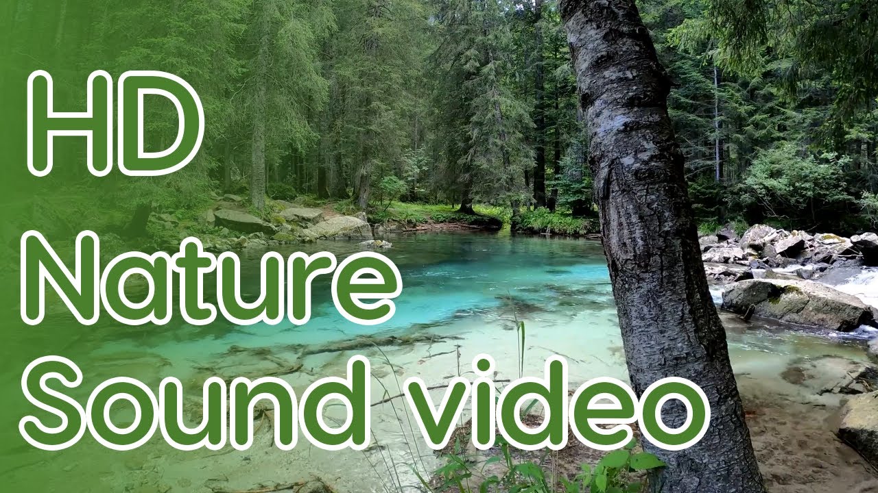 🔴 Calming music with nature sounds HD, relaxing nature sounds, The ...