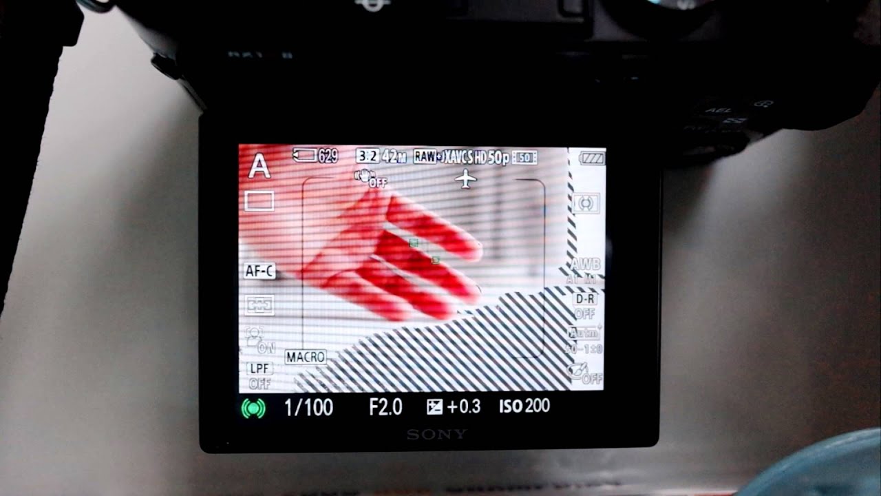 Sony RX1RII Continuous AF Test - YouTube