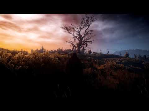 The Witcher 3: Wild Hunt - Hanged Man's Tree - YouTube