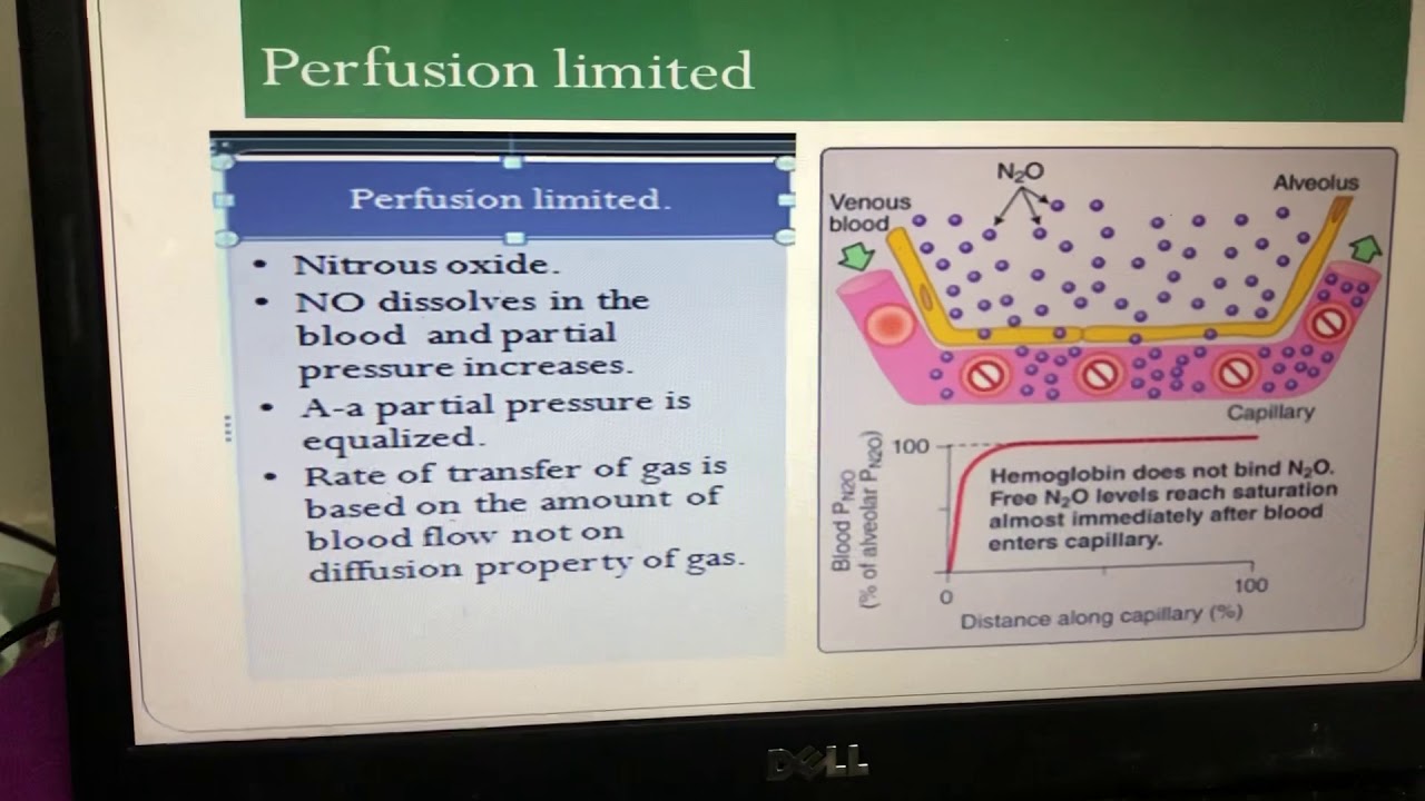 Easy and complete explanation of diffusion and perfusion limited gas ...