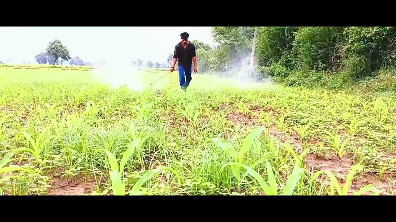 Farming 🧺🌽💸 - YouTube
