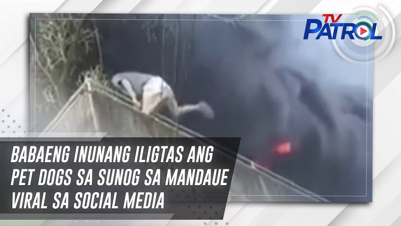 Babaeng inunang iligtas ang pet dogs sa sunog sa Mandaue viral sa ...