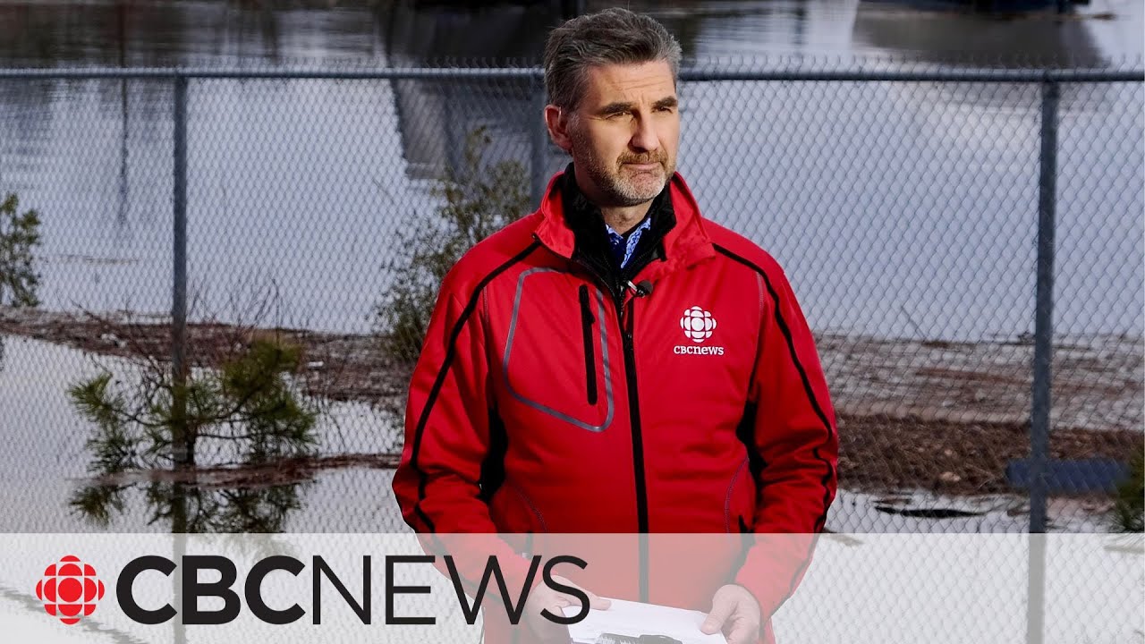 Harry Forestell steps down as N.B. news host - YouTube