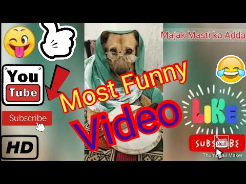 || Most Funny Video :- Ladla Dogiii I 😄😄||