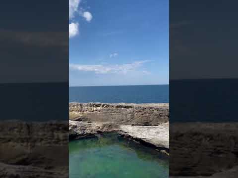 Beşiktaş goodfellas yeni beste/çocukken vuruldum siyah beyaz armana