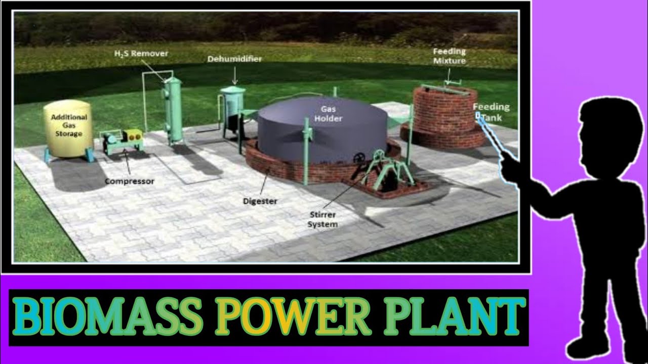 WORKING OF BIOGAS PLANT | BIOMASS ENERGY | BIOMASS POWER PLANT | HOW ...