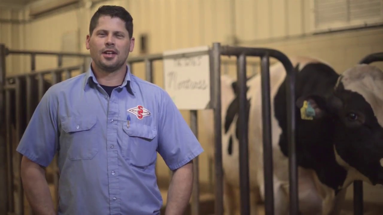 Select Sires Careers - Barn Supervisor - YouTube
