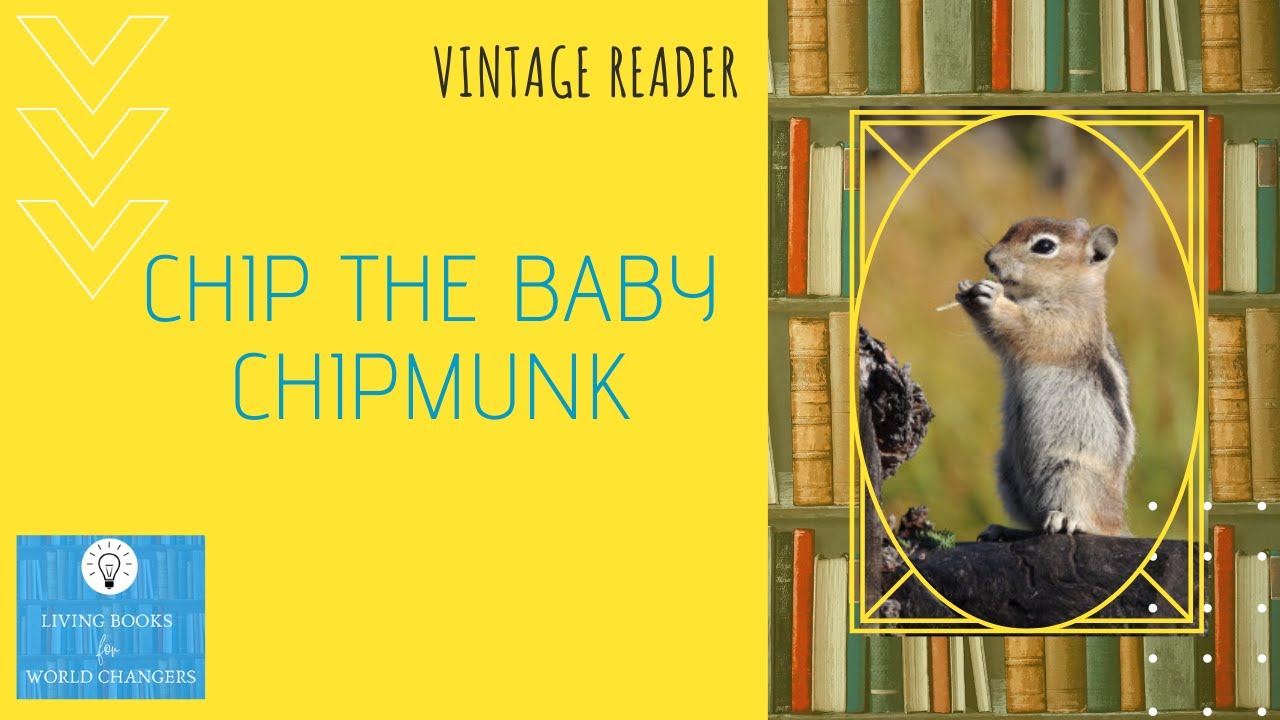 Children's Story: Chip the Baby Chipmunk - YouTube