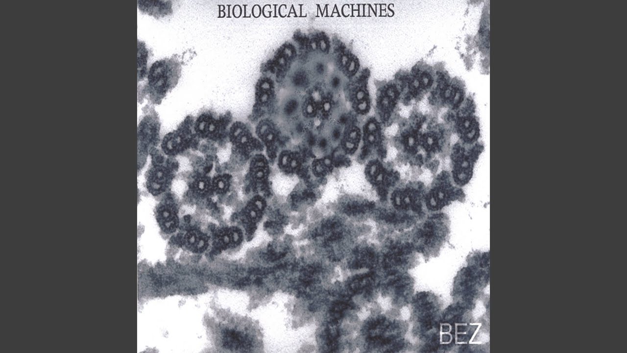 Biological Machines - YouTube