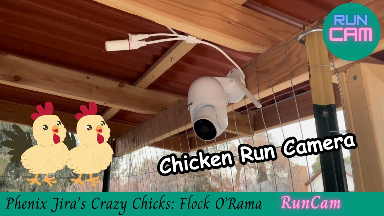 Remote Operated Camera for the Chicken Coop & Run - YouTube