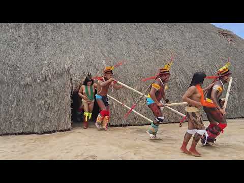 Xingú Basin... this river is 100% Brazilian ... Green waters coming from the Center of Brazil