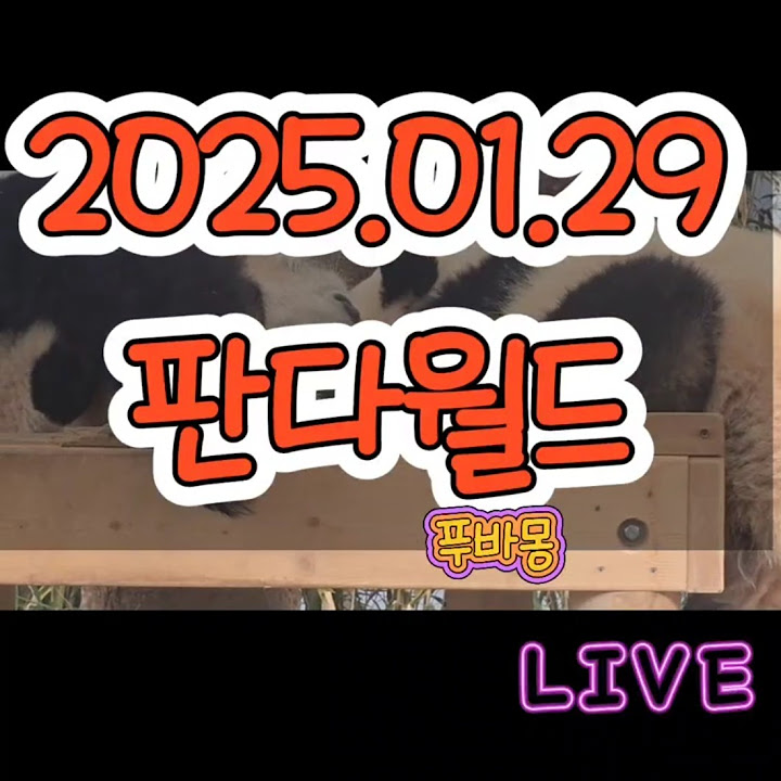 쭈쭈먹는 루이 후이 에버랜드판다월드아이바오루이바오후이바오러바오2025설날 Cute보고싶은푸바오 Youtube