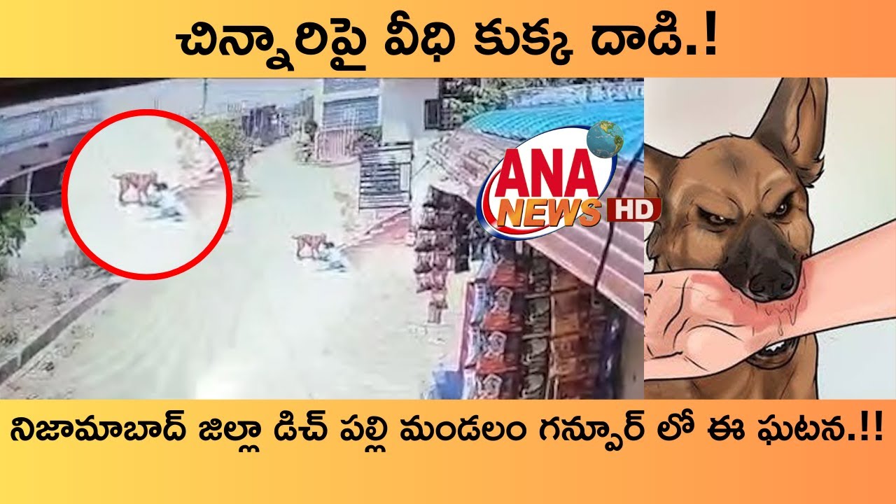 చిన్నారిపై వీధి కుక్క దాడి.! నిజామాబాద్ జిల్లా డిచ్ పల్లి మండలం గన్పూర్ ...