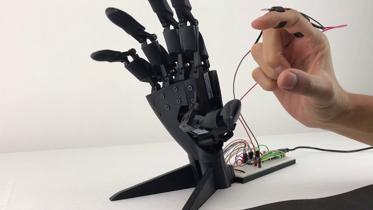 Youbionic Hand Shadow Mode - YouTube