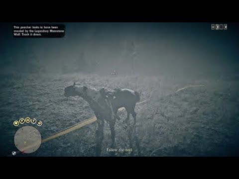 RED DEAD ONLINE:Legendary Moonstone wolf - YouTube