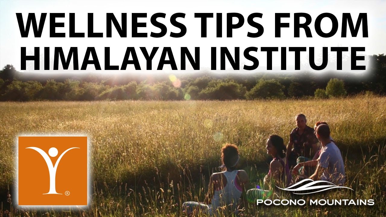 Himalayan Institute Q&A | Tips for Holistic Wellness - YouTube