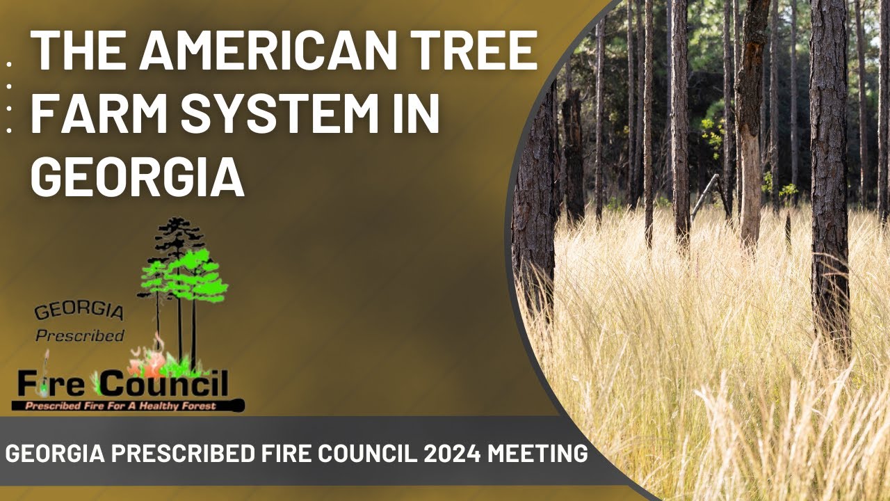 The American Tree Farm System in Georgia - YouTube