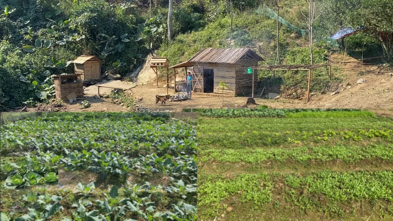 "100 Days of Solitude: Building Dreams in a Bamboo House" - YouTube