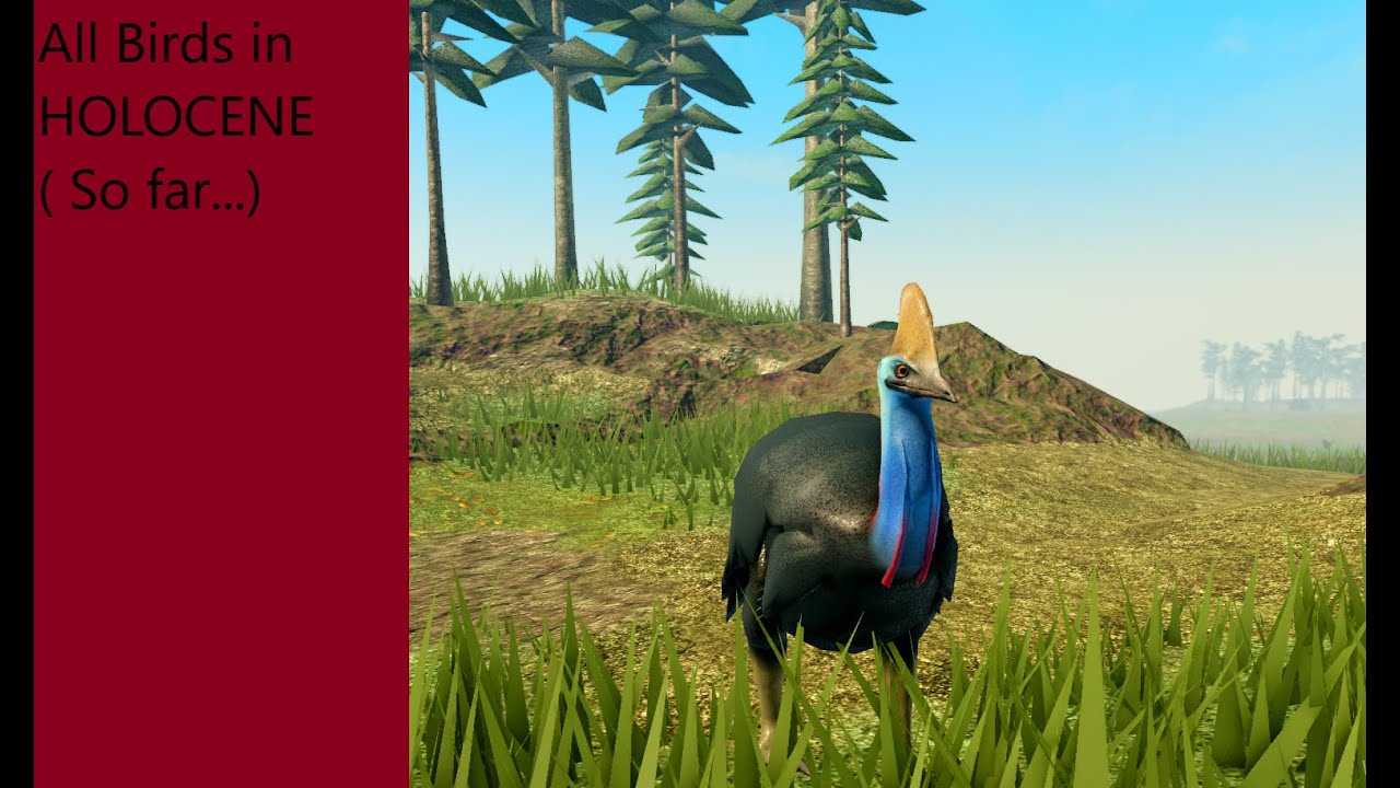 All Birds in HOLOCENE (So far...) - YouTube