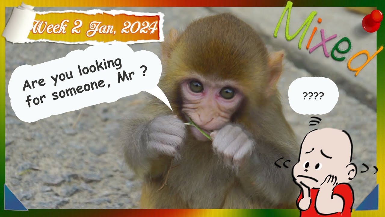 When did it happen 😢 II - one after another ! - YouTube