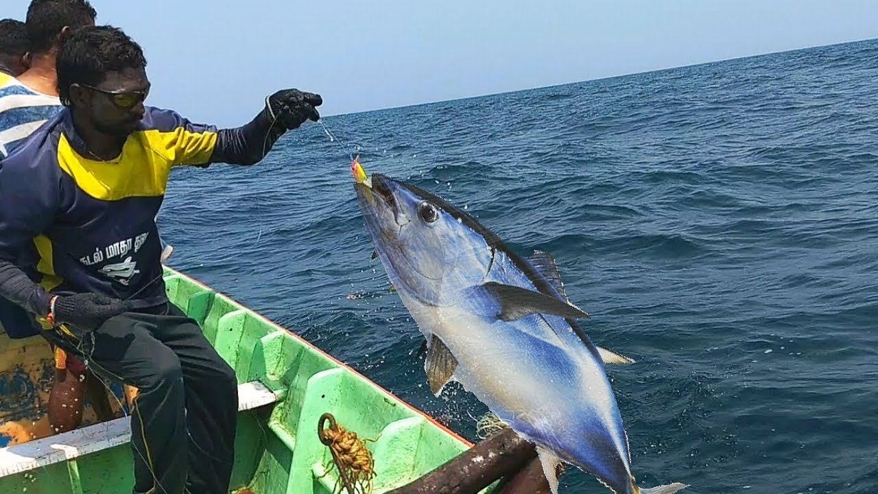 Awesome Traditional Fishing Video! Amazing Fish Hunting! Catching For ...