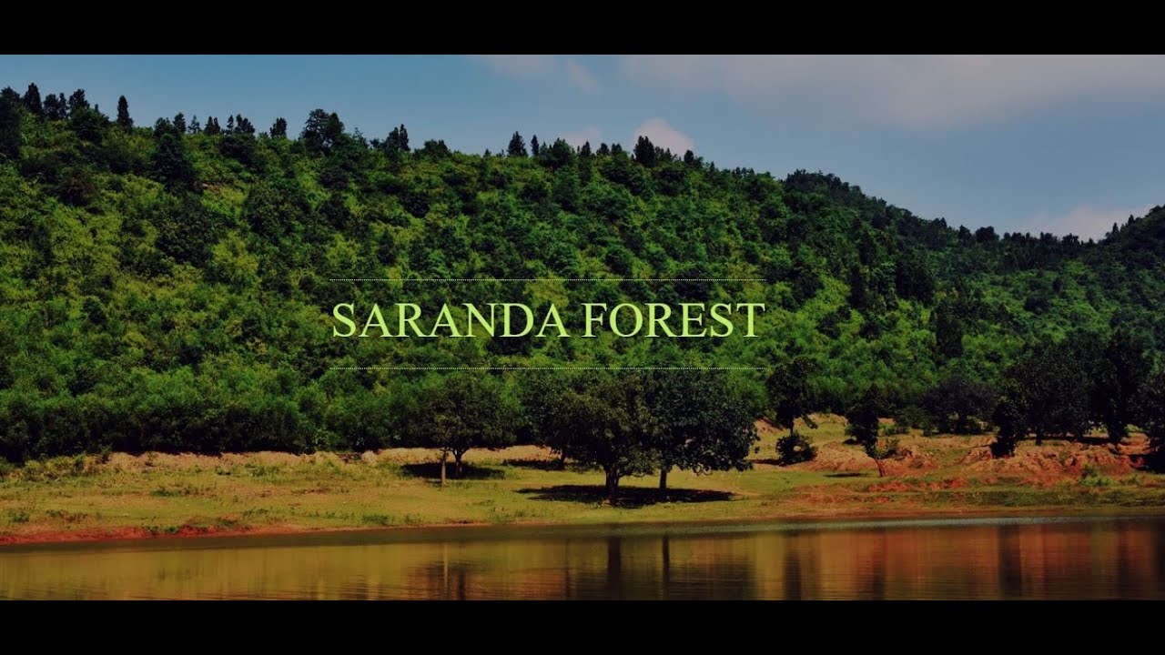 Passing through a very dense forest known as Saranda. Asia's most ...