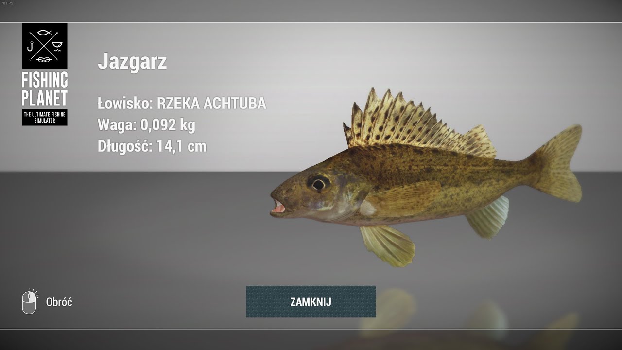 Fishing Planet Akhtuba River Russia Eurasian Ruffe | Jazgarz Rzeka ...
