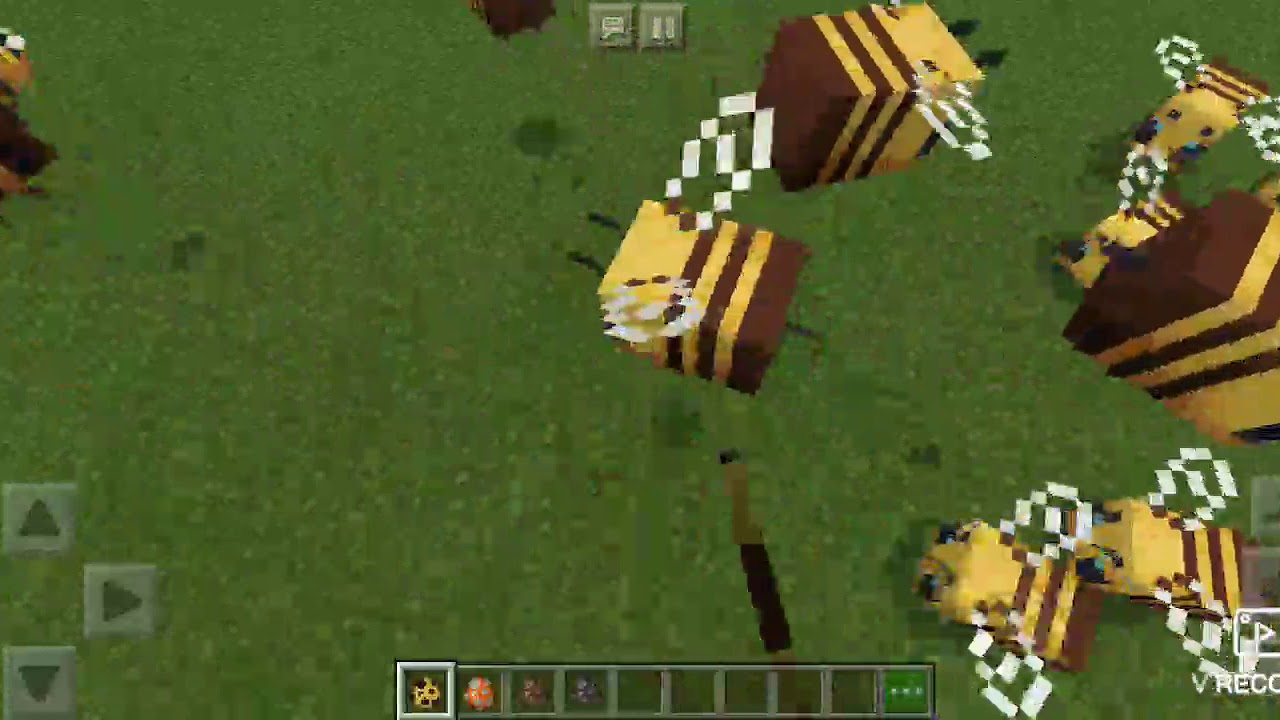Las abejas de Minecraft - YouTube