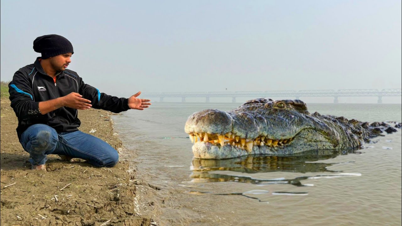 Crocodile Attacks Fisherman in River During Fishing Trip | Animal ...