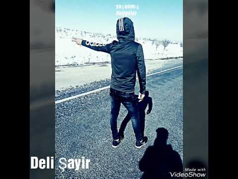 Deli Şayir(2019) yeni(4)