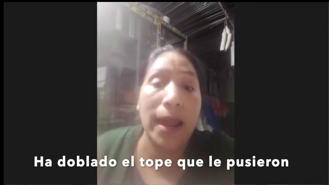 Progresol nos cuenta su experiencia con la web y cómo la ayuda a generar más ventas - YouTube