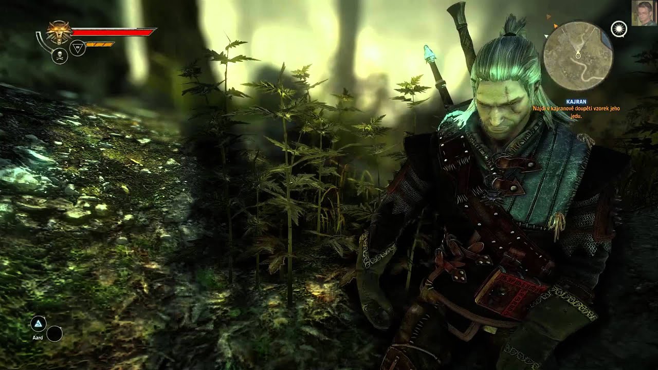 The Witcher 2 - 017 - The Kayran & Mystic River - YouTube