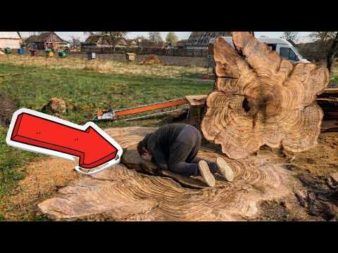 Unbelievable find inside an old stump!