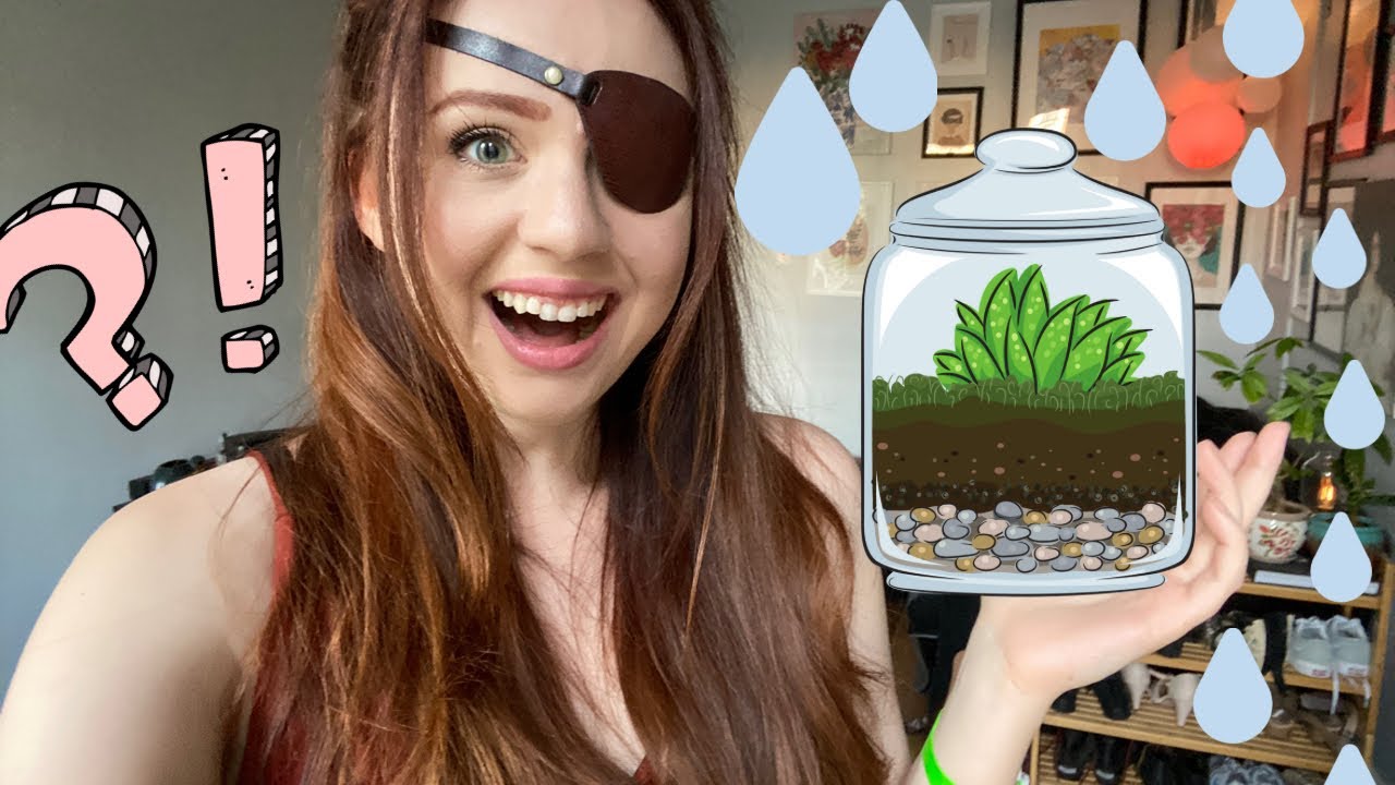 A Terrarium With REAL RAIN?! - YouTube