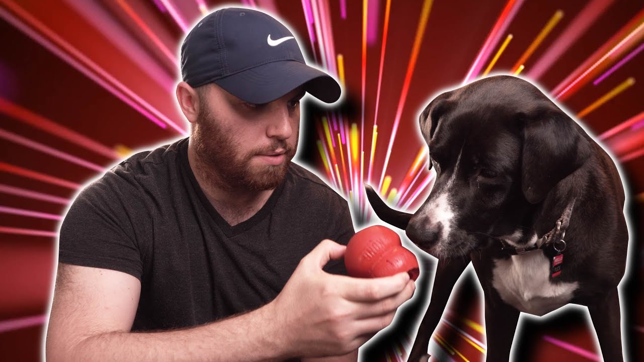 Joshua Valour reviews my dog - YouTube