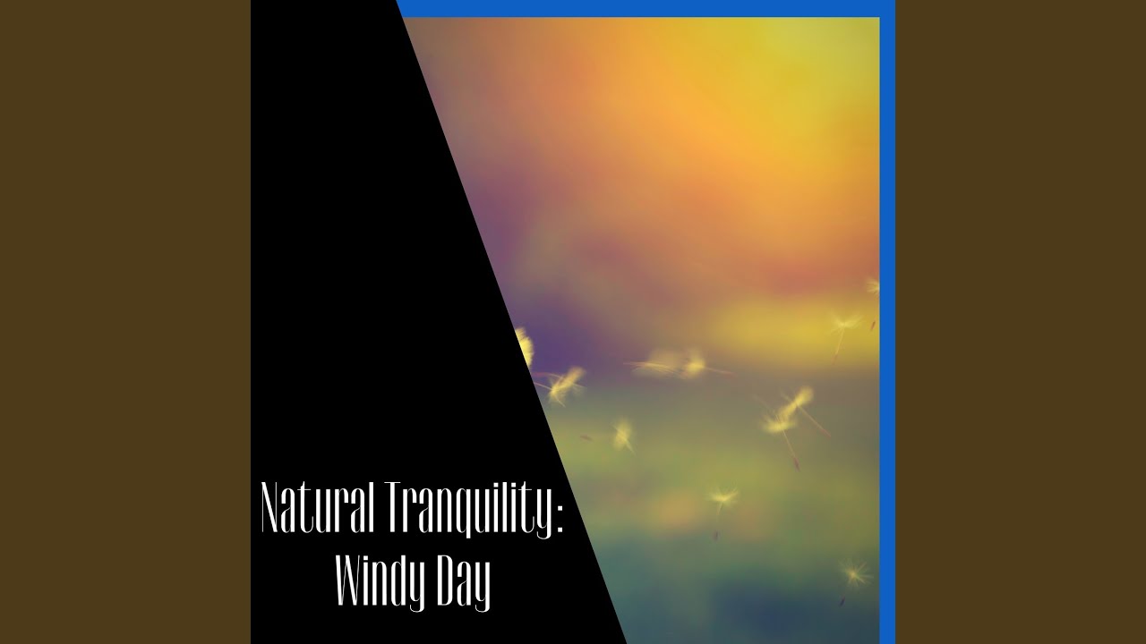Wind: Blustering Wind on Open Fields - YouTube