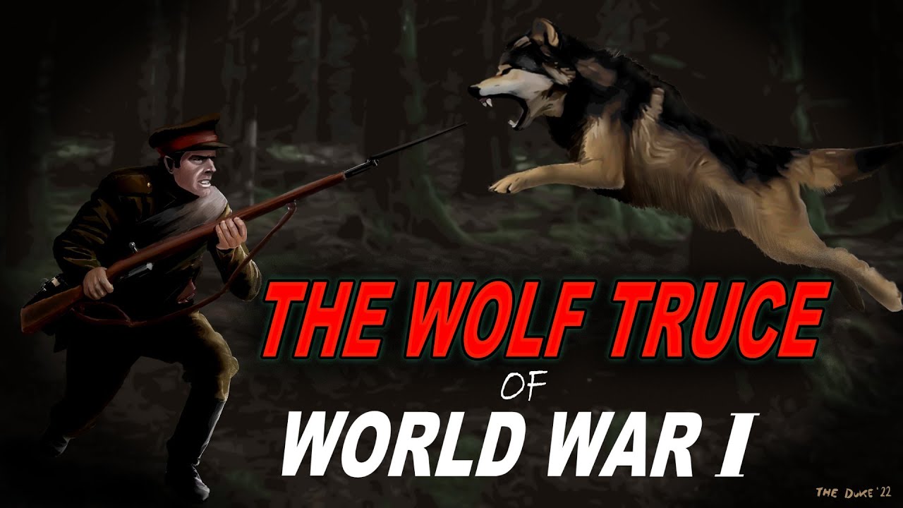 Wolf Truce 1914 World War 1 | Shocking Story - YouTube