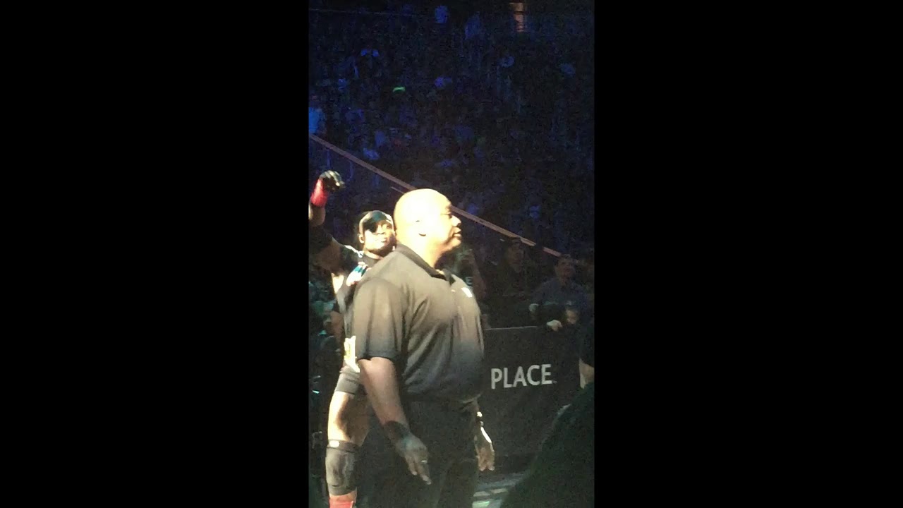 wwe Edmonton 2019! Please read description! - YouTube