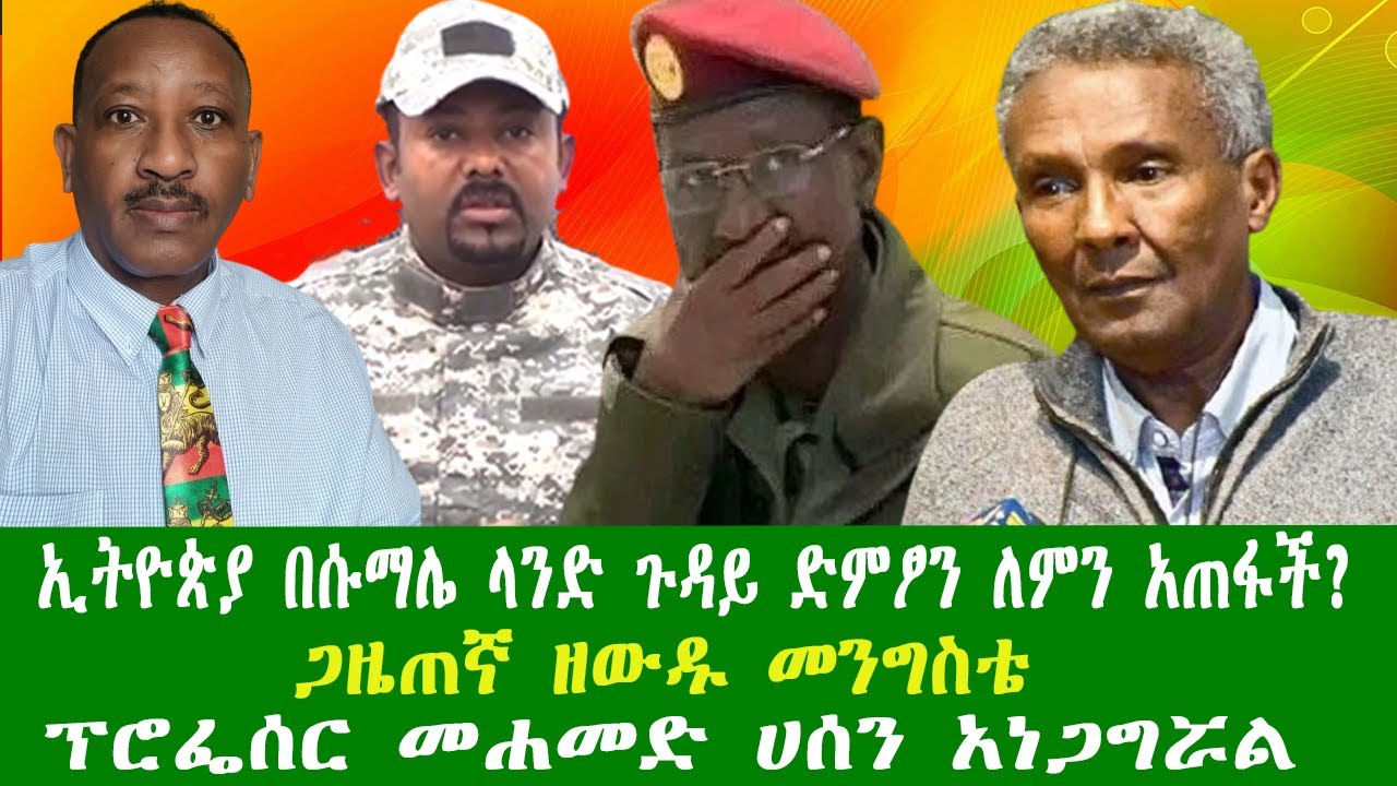 ኢትዮጵያ በሱማሌ ላንድ ጉዳይ ድምፆን ለምን አጠፋች? ጋዜጠኛ ዘውዱ መንግስቴ ፕሮፌሰር መሐመድ ሀሰን አነጋግሯል ...