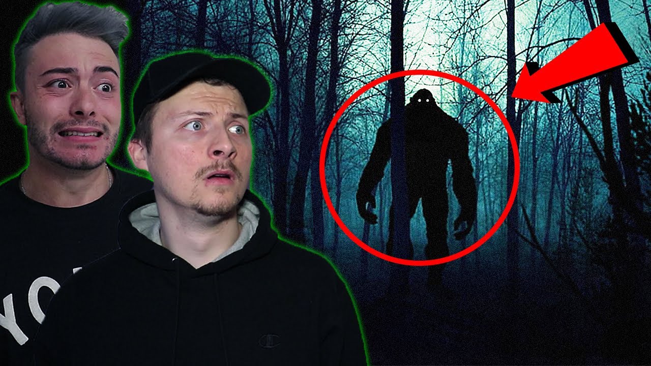 We Stayed OVERNIGHT in the SCREAMING FOREST (HAUNTED) - YouTube