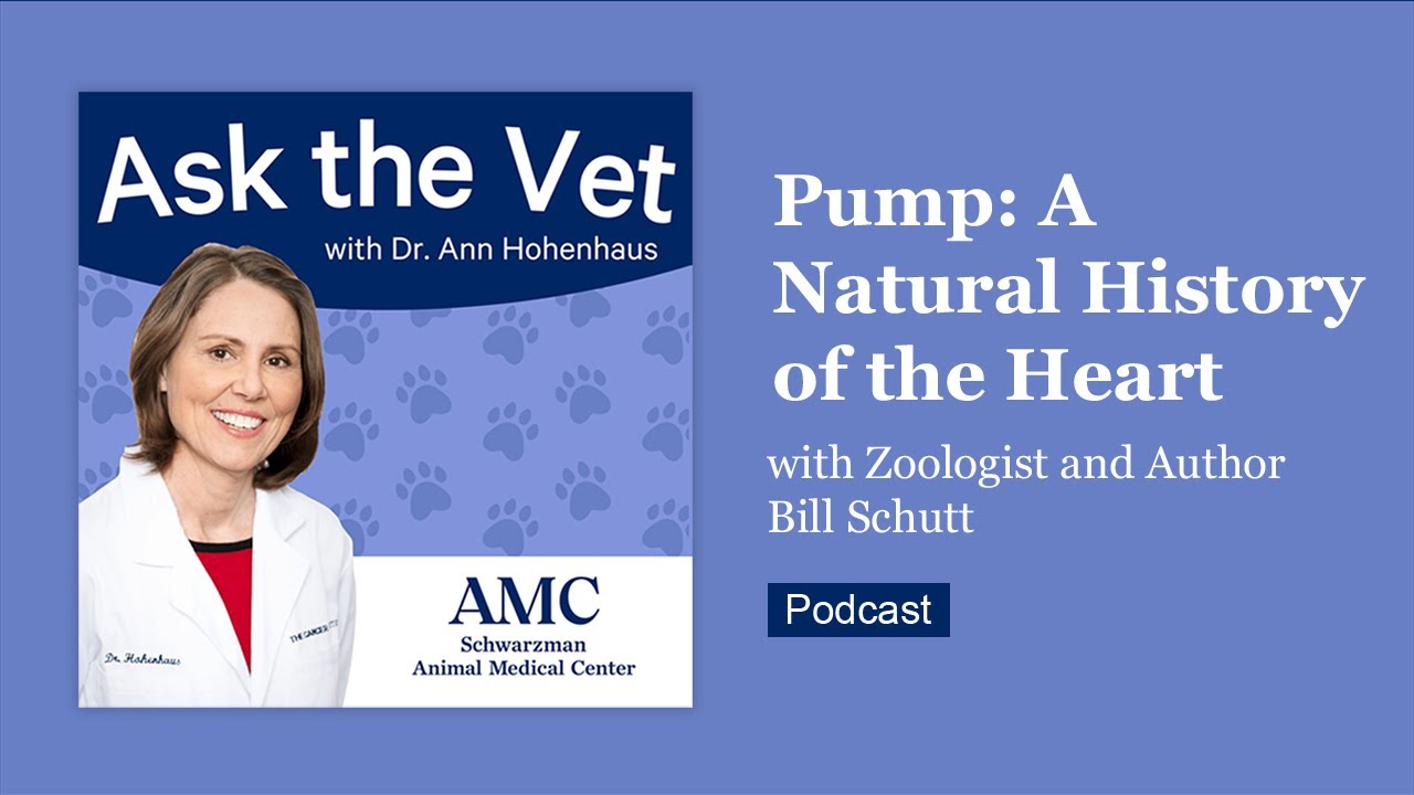 Ask the Vet: Pump - A Natural History of the Heart with Zoologist and Author Bill Schutt - YouTube