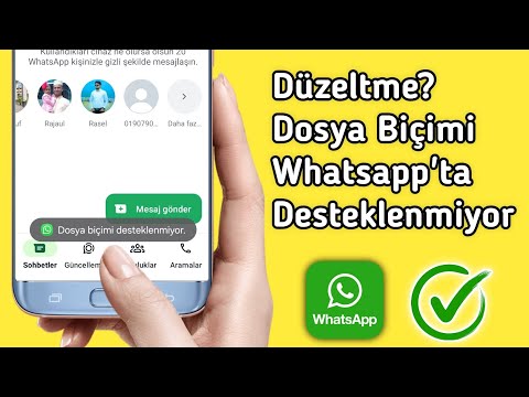 WhatsApp Dosya Biçimi Desteklenmiyor | Dosya Biçimi Desteklenmiyor Sorunu Nasıl Düzeltilir
