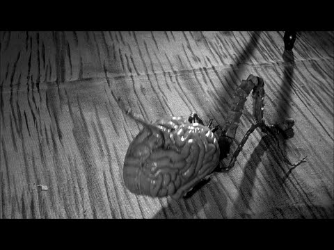 FIEND WITHOUT A FACE (1958) Flying Brains Attack!