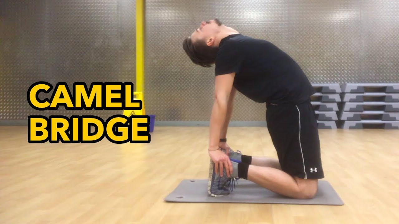 How To: Camel Bridge - YouTube