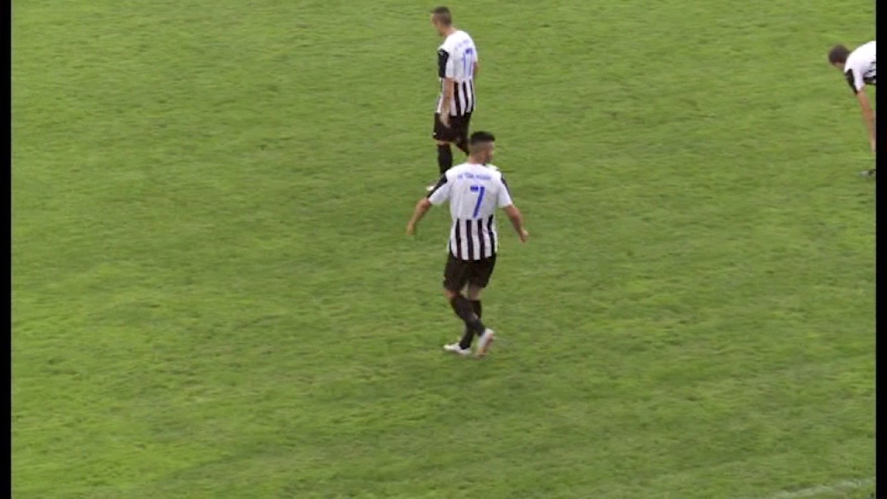MILOS PLAVSIC MIDFIELDER HIGHLIGHTS - YouTube