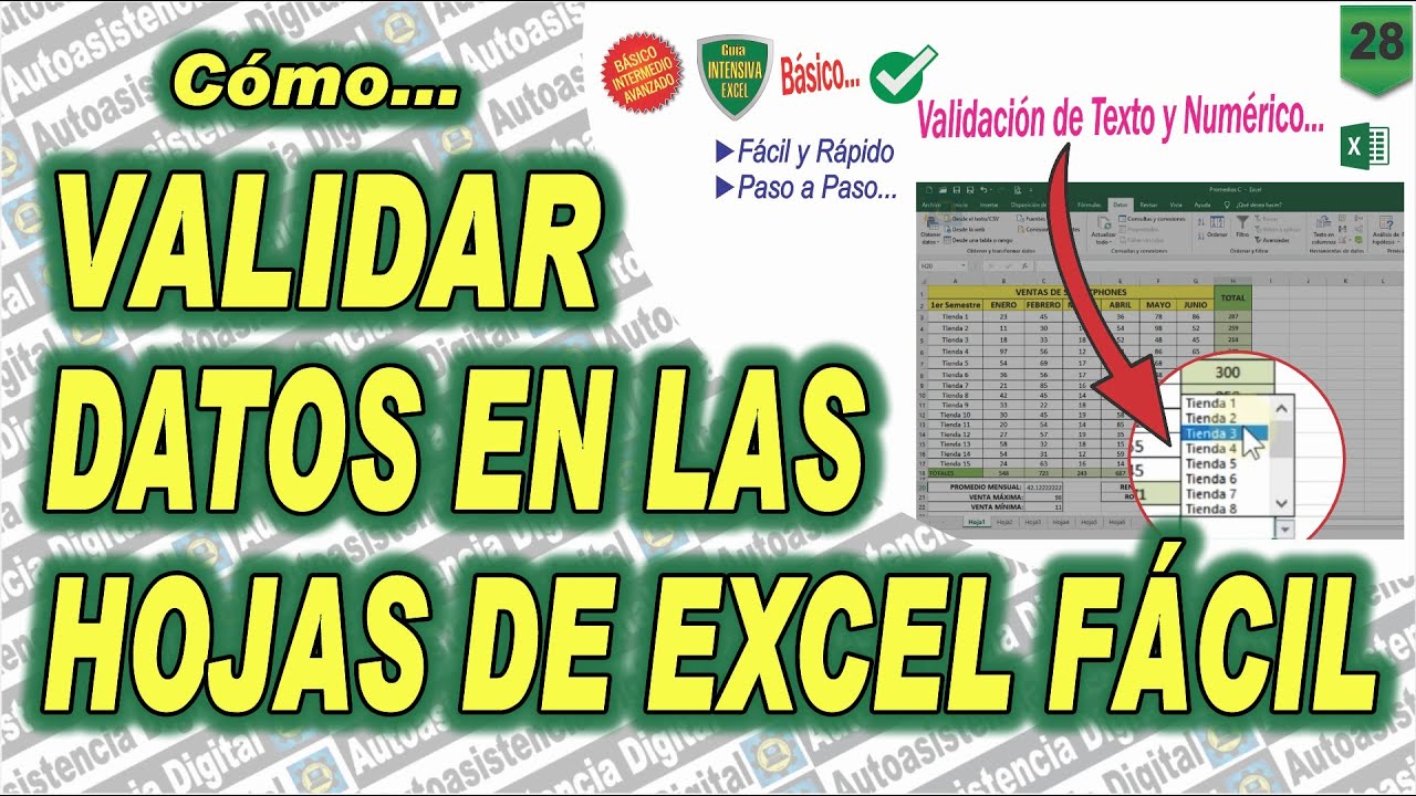 Validar Datos en Hoja de Excel | Autoasistencia Digital - YouTube